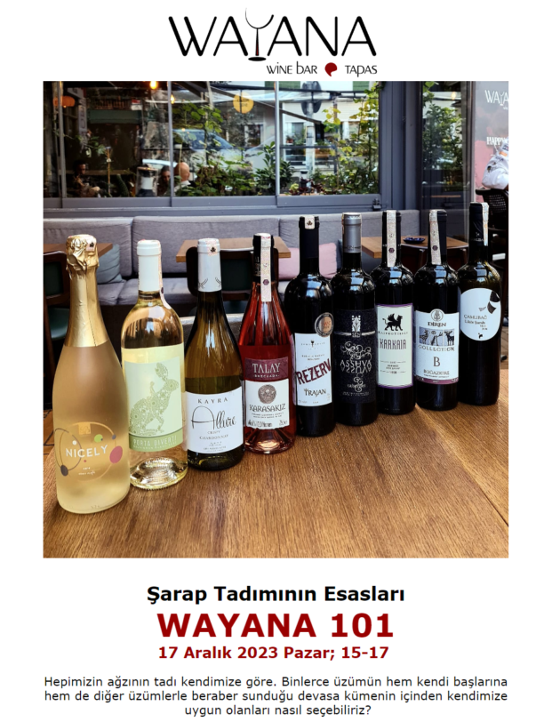 E-Bülten - Wayana Wine Bar