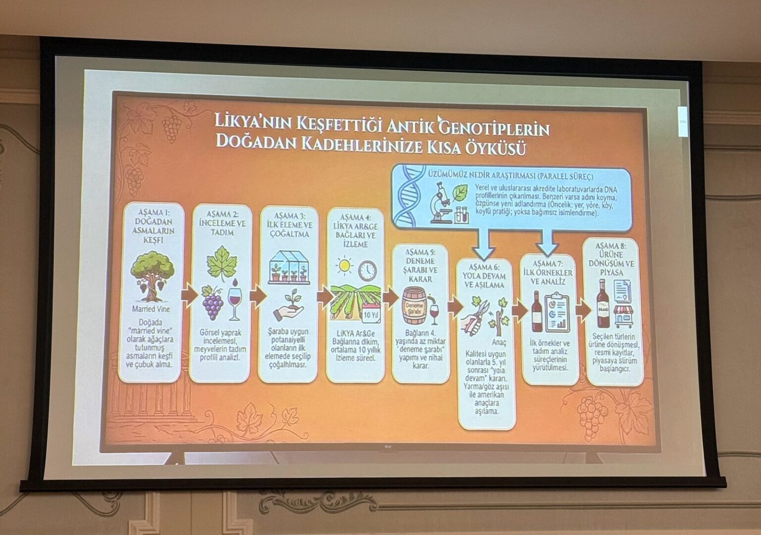 Likya’nın Kayıp Üzümler Macerası: - Wayana Wine Bar
